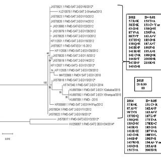 Maximum Likelihood Phylogenetic Tree Of The VP1 Gene Nucleotide