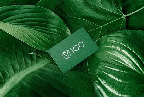 Iti Introduction On Behance