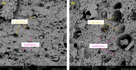 Representative Bimodal Structure Of Injection Molded Foamed Samples At