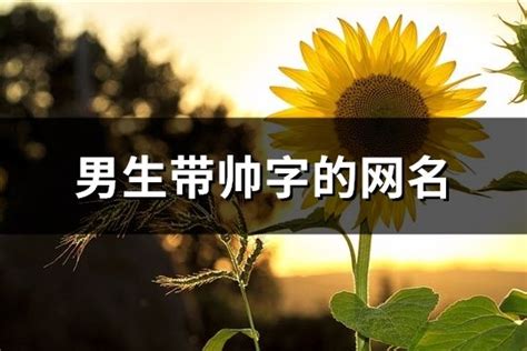 男生带帅字的网名 精选105个 淘名吧网