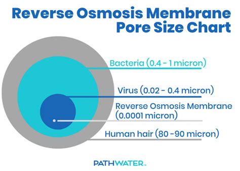 What Is Reverse Osmosis Filtered Water PathWater Reverseosmosis Water Filters Pathwater