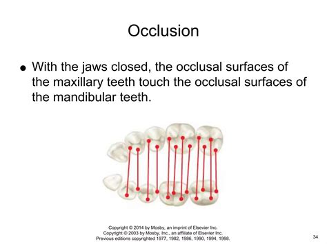 Basic Occlusion PPT