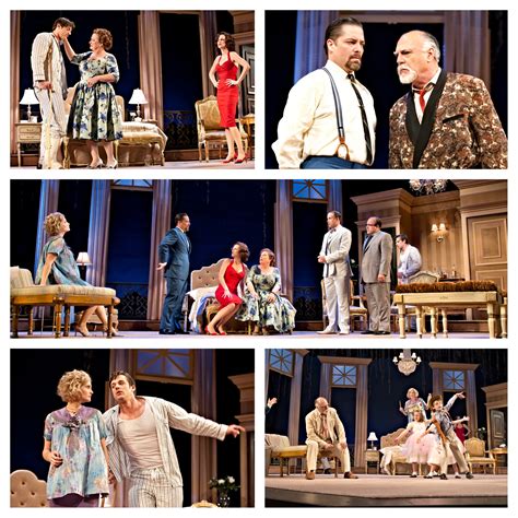 Cat On A Hot Tin Roof — Lisa Zinni