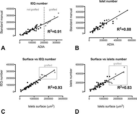 Islet Surface Area Was Estimated Comparatively With Ieq Number Each Download Scientific