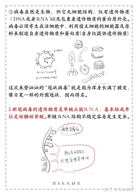 背到就是赚到！！ 新冠病毒”高中生物相关知识点整理！！ 知乎