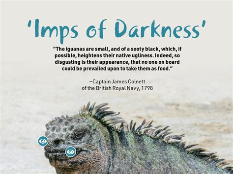 Imps Of Darkness Salty Sneezes And Heat Seeking Lizard Home Only Here