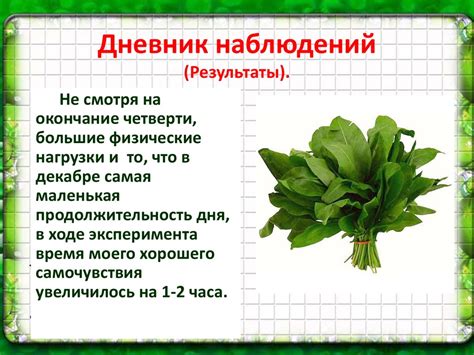 Щавель кладезь полезных веществ презентация онлайн