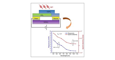 Broadband Photodetector Based On Feps3ws2 Van Der Waals Type Ii