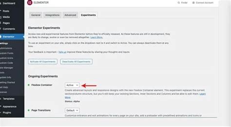 how to best use elementor flexbox container
