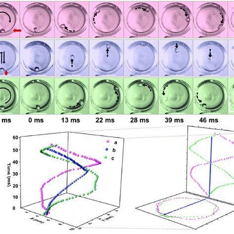 Circling Motion Of Drop Controlled By Electrostatic Force A C Time Download Scientific