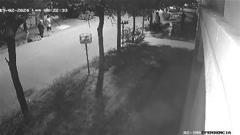 “rompeportones” Tienen En Alerta A Los Vecinos De Barrio Roca La Voz