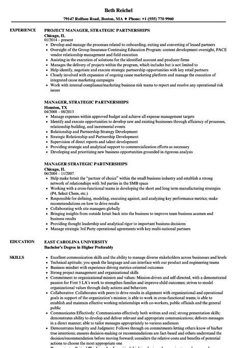 Manager Strategic Partnerships Resume Samples Velvet Jobs