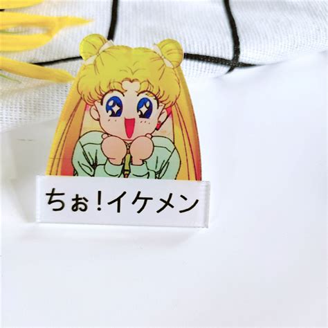 Sailor Moon Acrylic Cartoon Brooch Moonlight Catcher