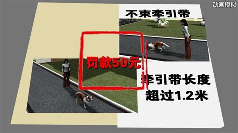 「动画」太原最严养狗令实施！想当好铲屎官 先要守好规矩大自然呆萌好看视频