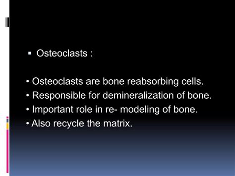 introduction of bones types structure ppt