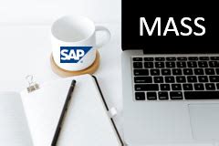 Sap Training Sap Mass Change Create Of Master And Transaction Dat