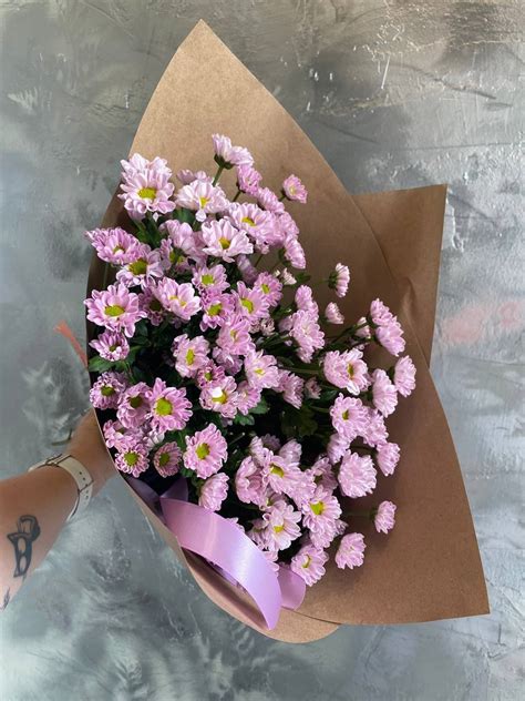 Хризантема Сантини Росси pink – купить за 1 790 ₽ | MyCvety
