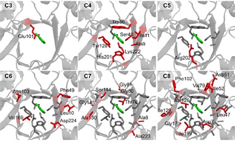Six Active Site Regions With Various Boundary Distances To The