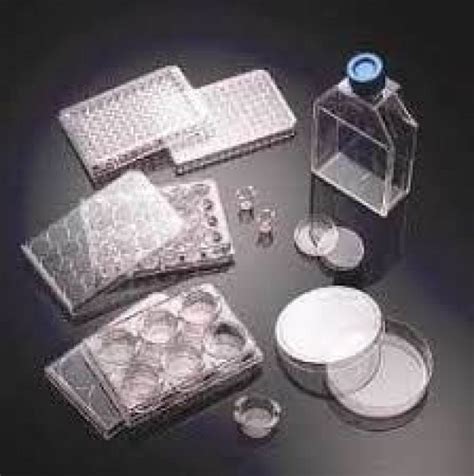 Corning BioCoat Collagen IV 35mm TC Treated Culture Dishes 20 Pack