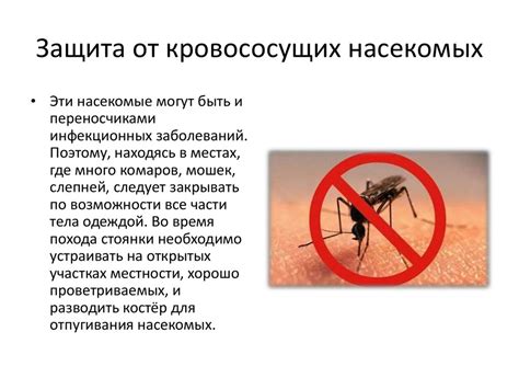 Укусы насекомых защита от них и оказание первой медицинской помощи презентация онлайн