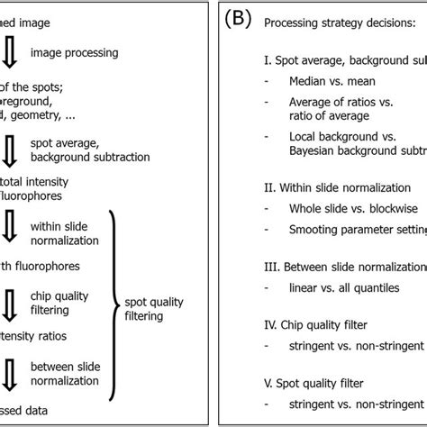 4 Panel A Shows The Major Steps Of The Preprocessing Of Gene