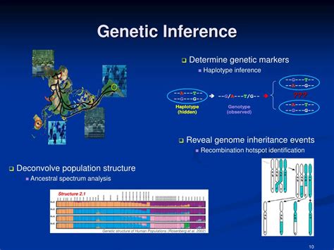 ppt nonparametric bayesian methods for genetic inference powerpoint