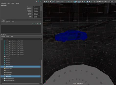 solved image plane visible in outliner but not in viewport render view