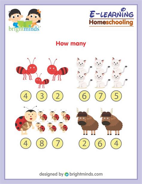 Bright Minds Elearning Platform