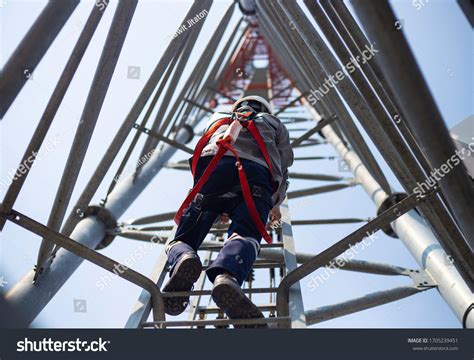 33 343 Imágenes De Tower Climbing Imágenes Fotos Y Vectores De Stock