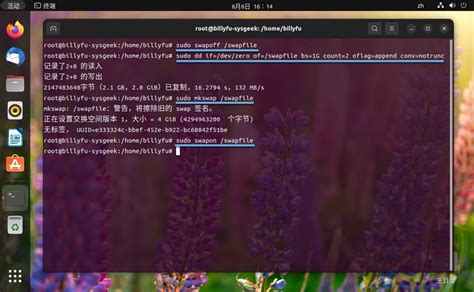 如何在 ubuntu 中创建、删除和调整 swap 空间 系统极客