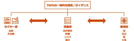 tnfd、ベータ版フレームワーク（v0 2）を公開―v0 1からの更新・新規追加ポイントを解説 pwc japanグループ