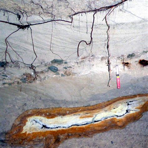 Abb Westliche Innenwand Des Weiler Sandkellers Nr 3 Mit Dem Download Scientific Diagram