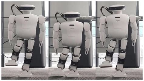 A Spring Compensation Method For A Low Cost Biped Robot Based On Whole Body Control