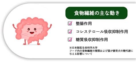 愛犬長生き、ベジサポ！ベジタブルサポート