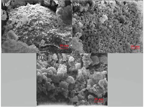 Sem Micrographs Of 50 B 4 C 50 Tib 2 Sample A Shs Product B