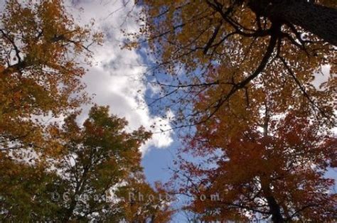 Beautiful Autumn Trees Algonquin Provincial Park Photo And Travel Idea