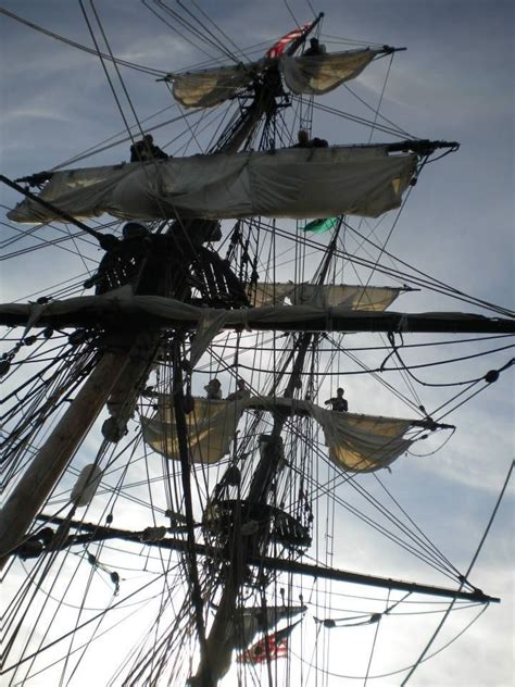 Objectophilia On Tumblr