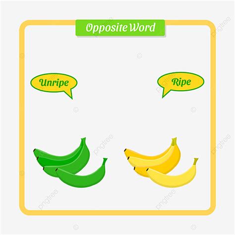 English Word Clipart Png Images Opposite English Words With Unripe And