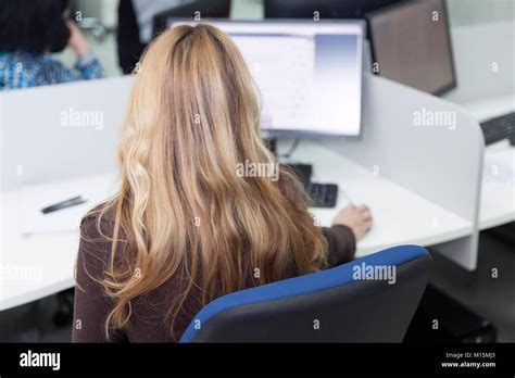 Data Entry Operator Clipart House