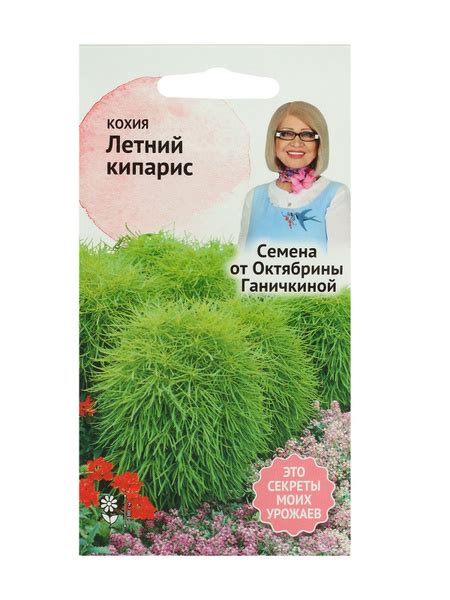 Кохия АгроСидсТрейд кохия - купить по выгодным ценам в интернет ...
