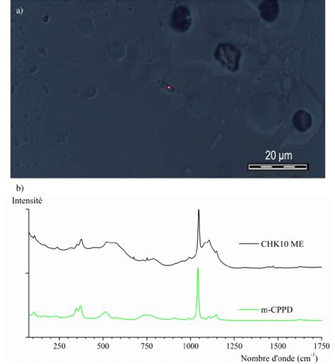Image Au Microscope A Et Spectre Raman B Dun Cristal De M Cppd