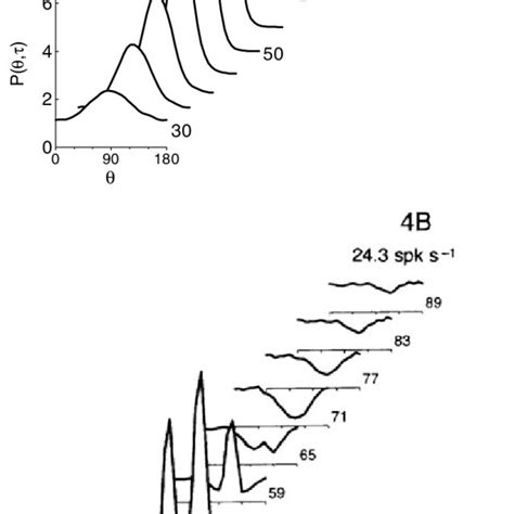 Reverse Correlation Results For A Purely Feedforward Model Top Panel
