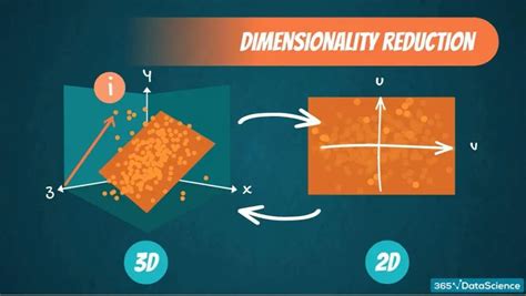 Why Is Linear Algebra Useful In Data Science 365 Data Science