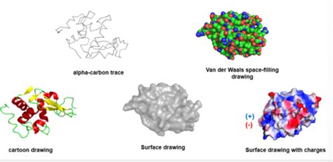 Lecture 7 Protein Structure Ii Flashcards Quizlet