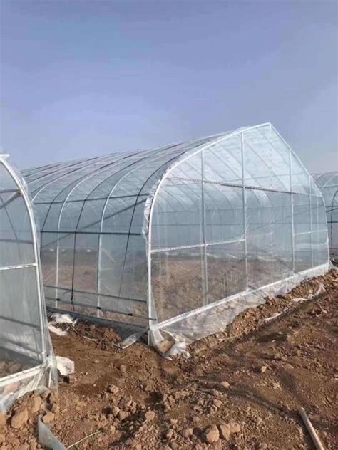 Хаврын тариалалт Цогц өвөл зуны хүлэмж захиалга худалдаа