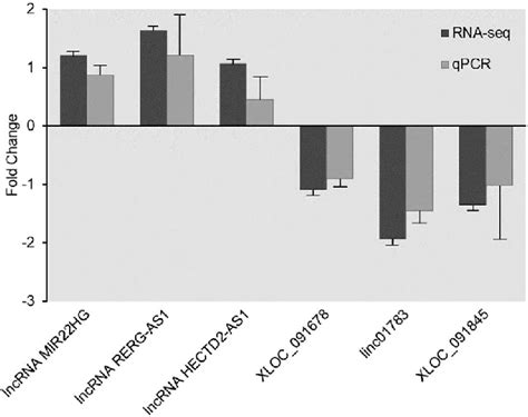 Validation Of Lncrna Expressions By Qrt Pcr Qrt Pcr Was Used To