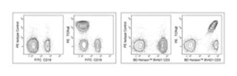 Tcr Mouse Anti Human Pe Clone Ip26 Also Known As Ip26a Bd 100