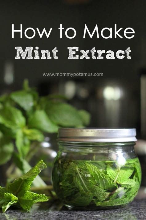 9 Diy Extracts Ideas Diy Extracts Canning Recipes Homemade Spices