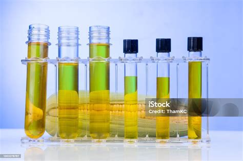 파란색 배경에 실험실에서 비커 테스트 튜브옥수수 미로에서 파생 된 에탄올 바이오 연료 0명에 대한 스톡 사진 및 기타 이미지