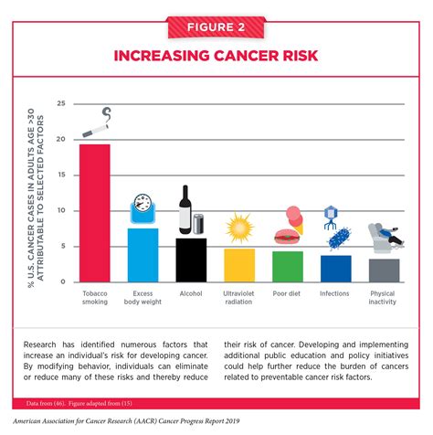 Prevent And Cure Cancer Rapamycin Longevity News